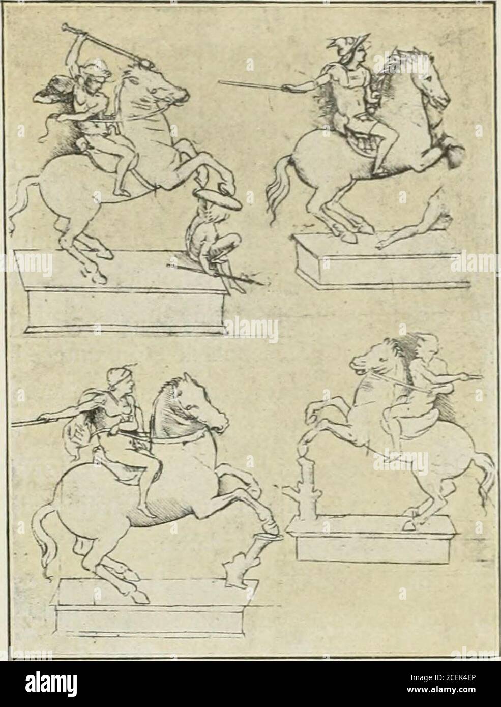 Leonardo buta hi-res stock photography and images - Alamy