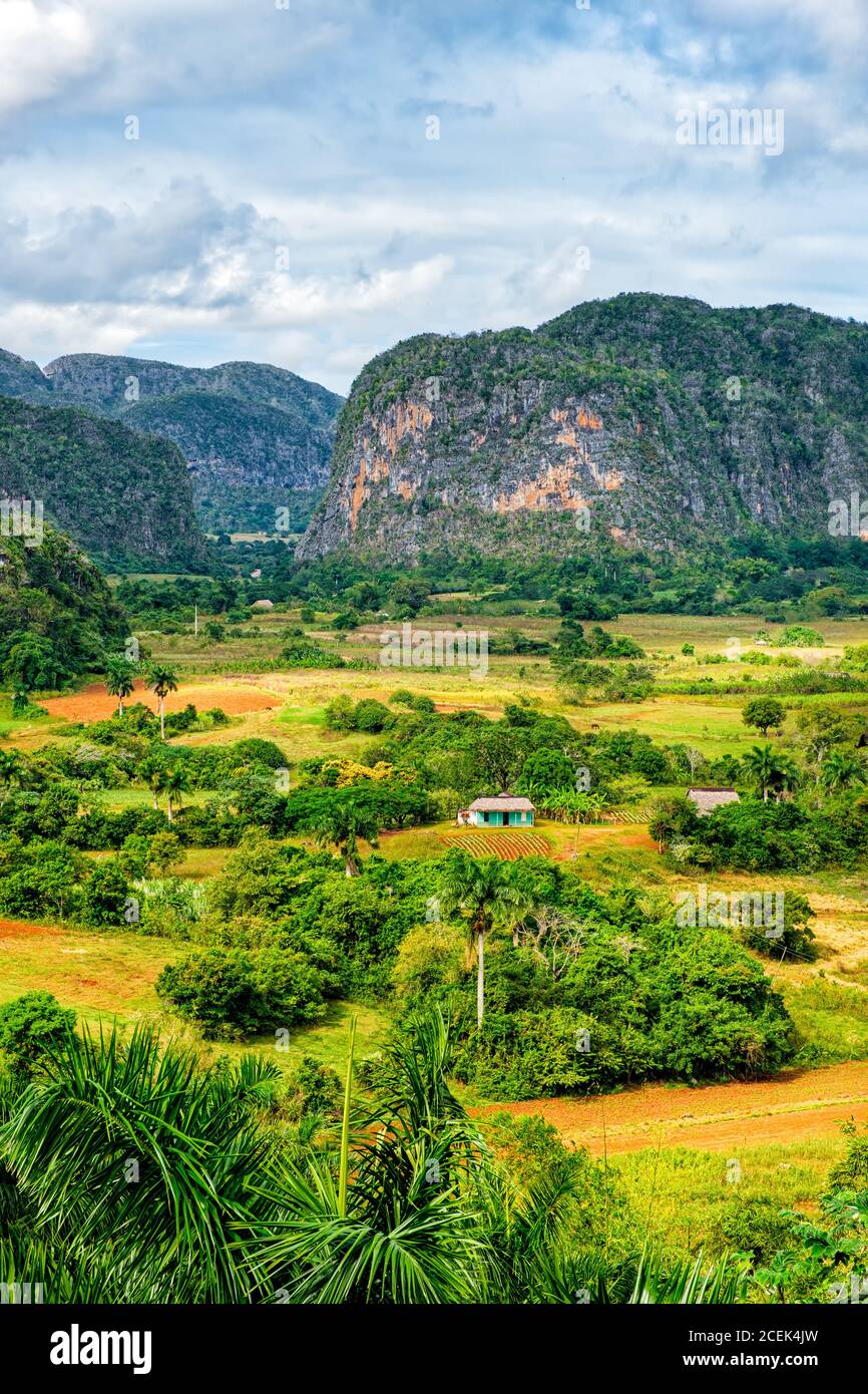 The Viñales valley in Cuba, famous for its mountains and its tobacco ...