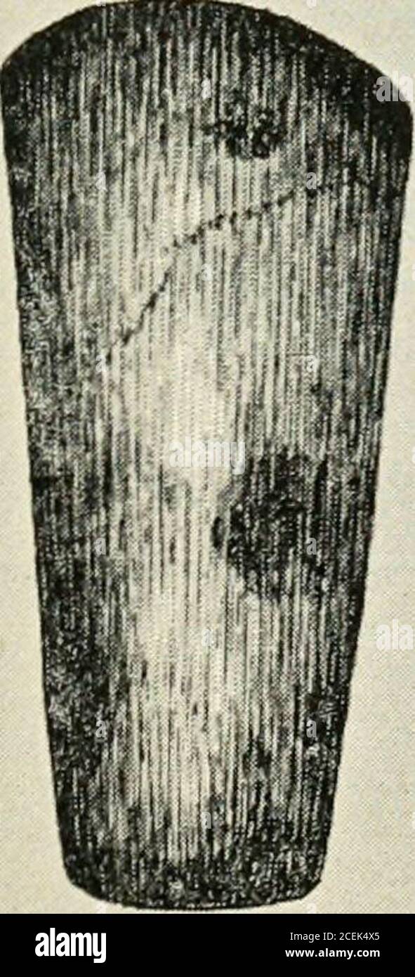 Bookidtransactionv hi-res stock photography and images - Alamy