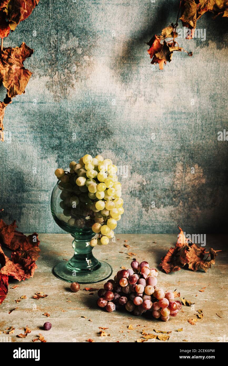 Grapes still life hi-res stock photography and images - Alamy