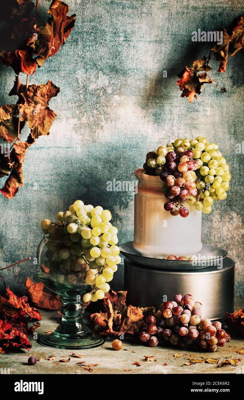 Grapes still life Stock Photo - Alamy