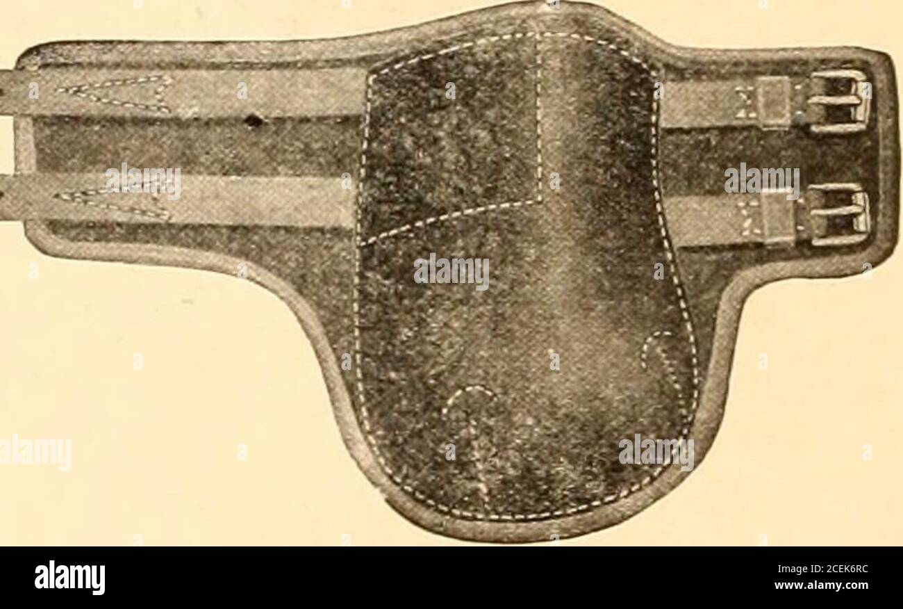 Horse boot hide hi-res stock photography and images - Alamy