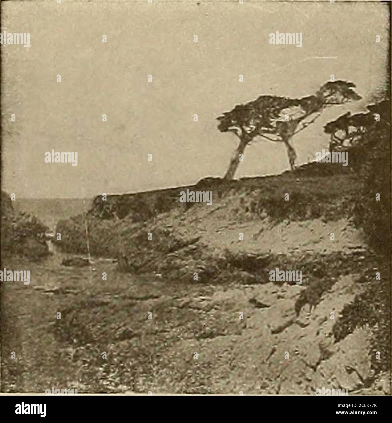 Sierra pacific power company hi-res stock photography and images - Alamy