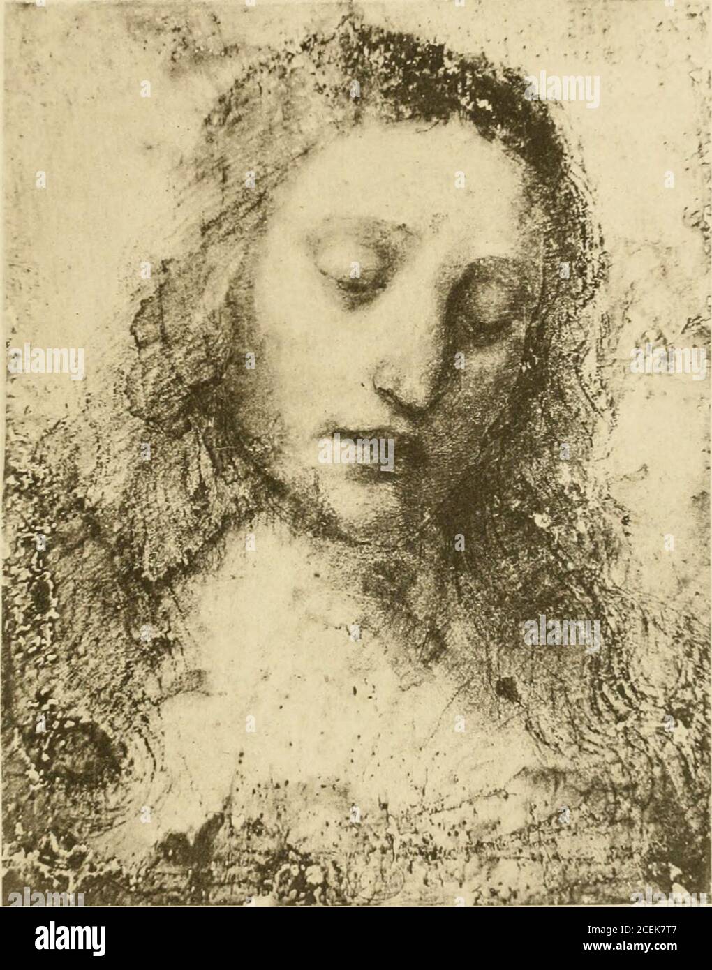 Leonardo da vinci man in red chalk hi-res stock photography and images ...