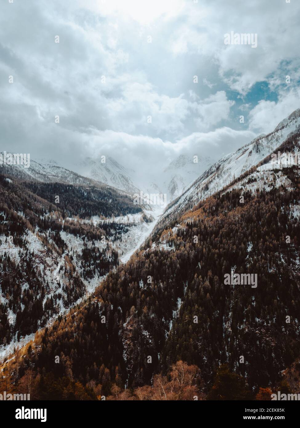 View to the evergreen forest and mountains covered with snow in winter ...