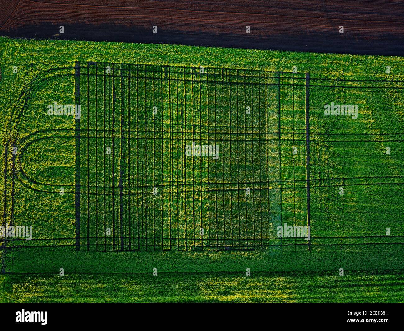 Aerial view of agricultural field taken by drone Stock Photo - Alamy