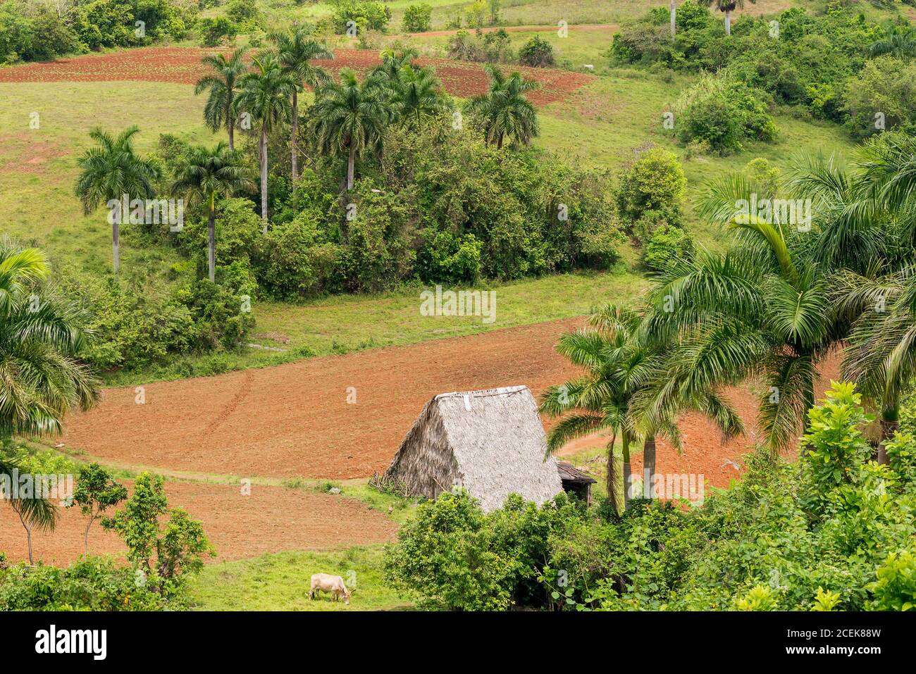 Aerial view with farming land of the Vinales Valley in Cuba, a place ...