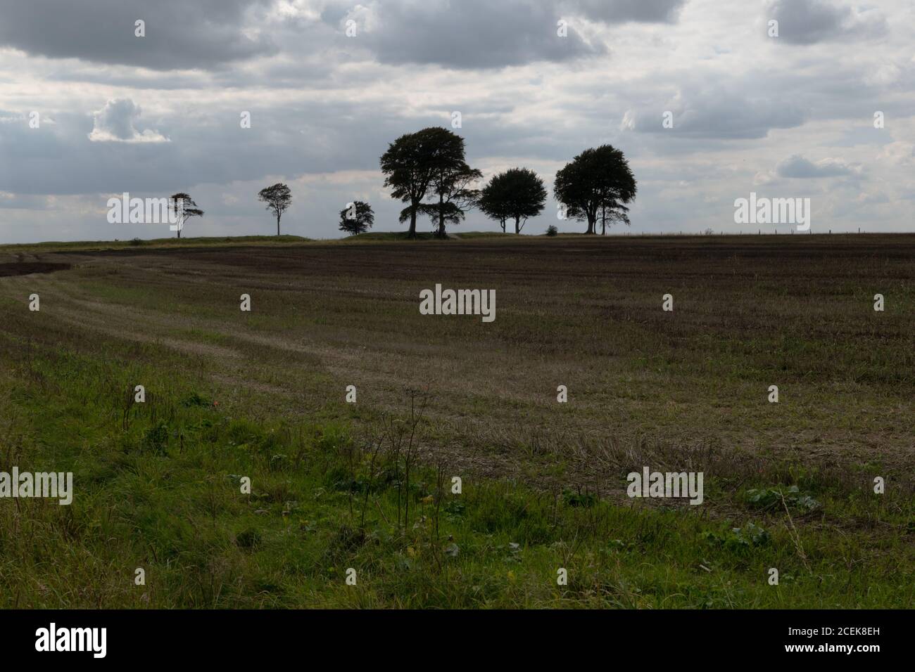 Devizes castle hi-res stock photography and images - Alamy