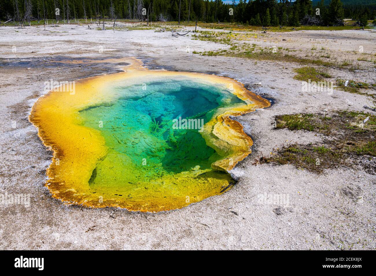 Biscuit basin area hi-res stock photography and images - Alamy