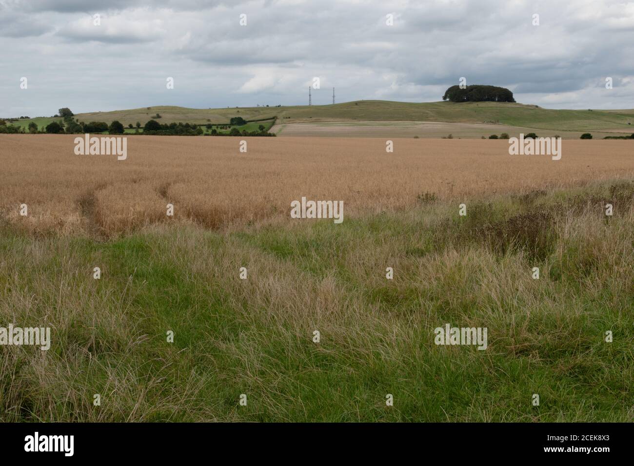 Site of the battle of Roundway Hill, Devizes, Wiltshire, UK. One of the ...