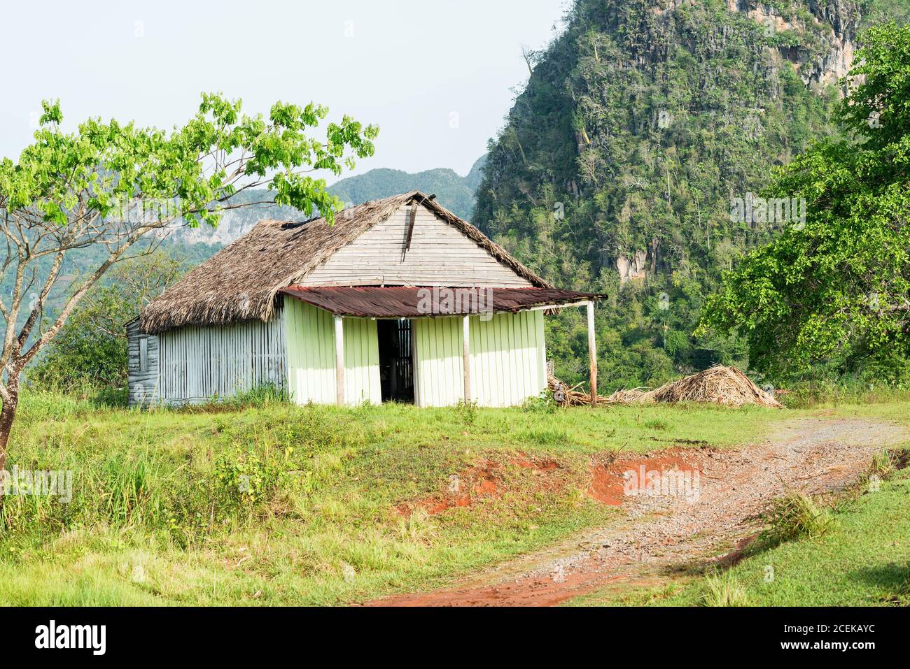 Rural scene with a rustic house known as bohio at the Vinales Valley in ...