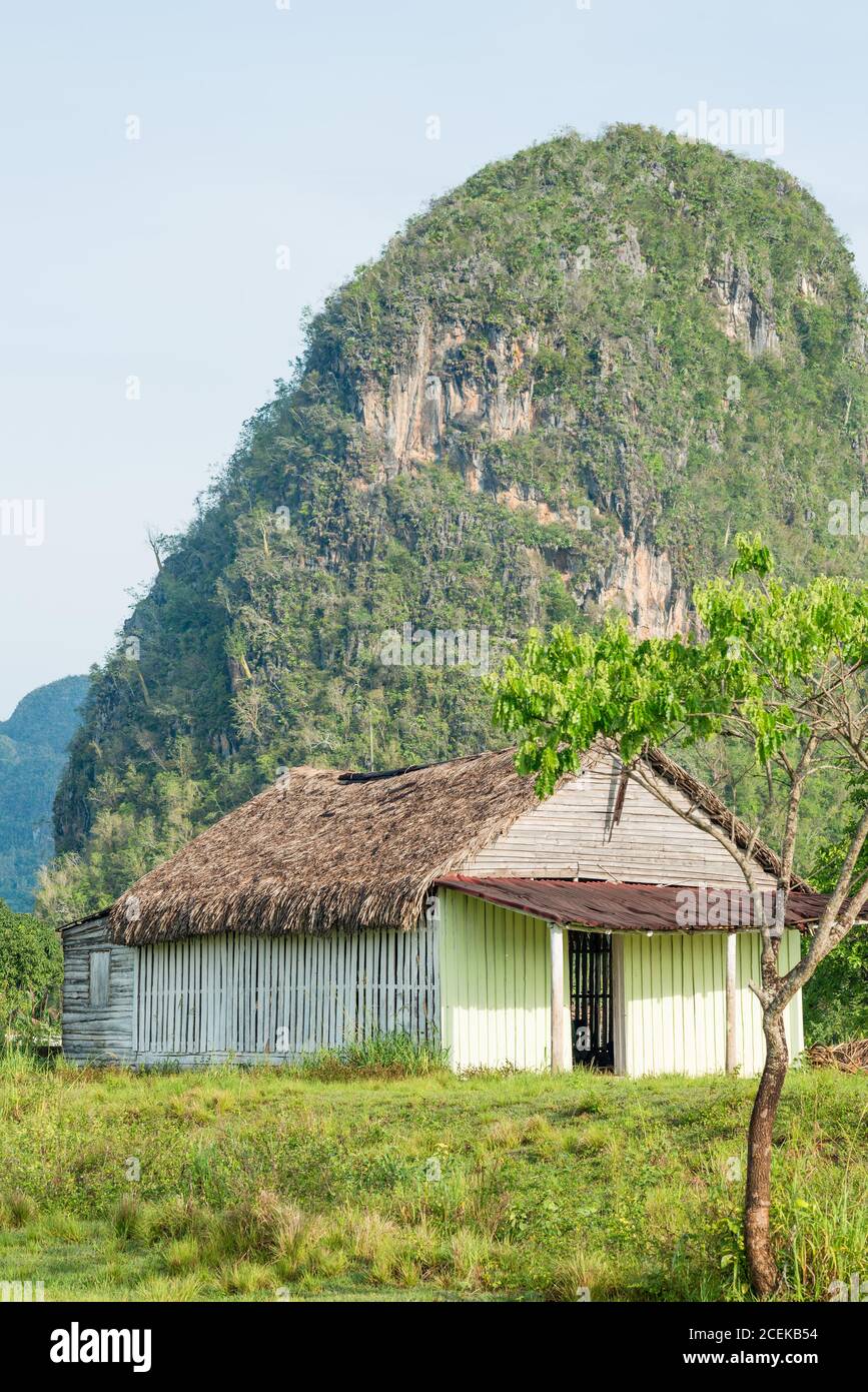 Rural scene with a rustic house known as bohio at the Vinales Valley in ...