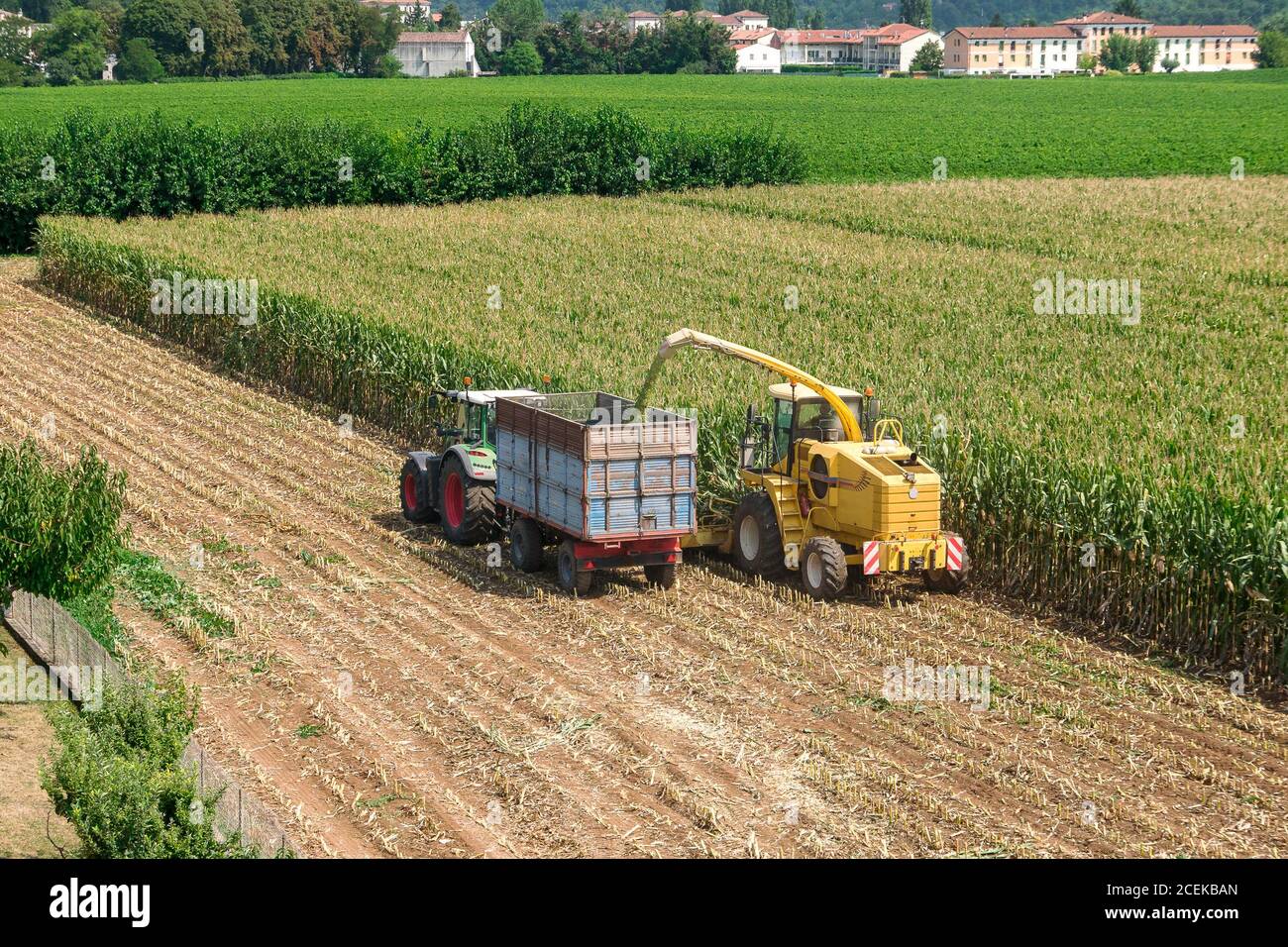 Combine harvester and tractor used in corn harvesting Stock Photo - Alamy