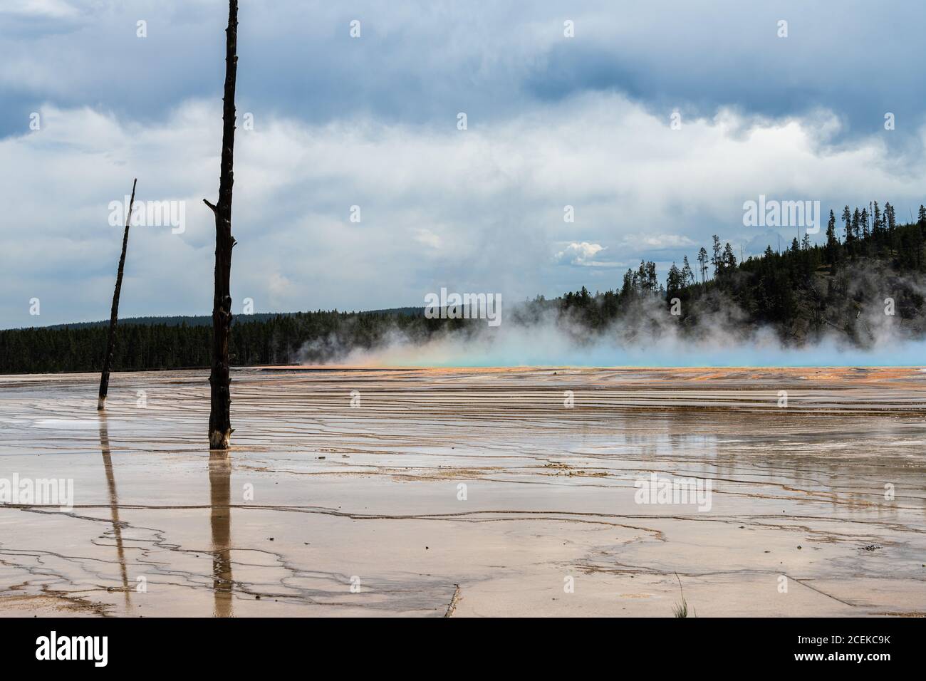 Mud Formations around the Grand Prismatic Spring, Yellowstone Park ...