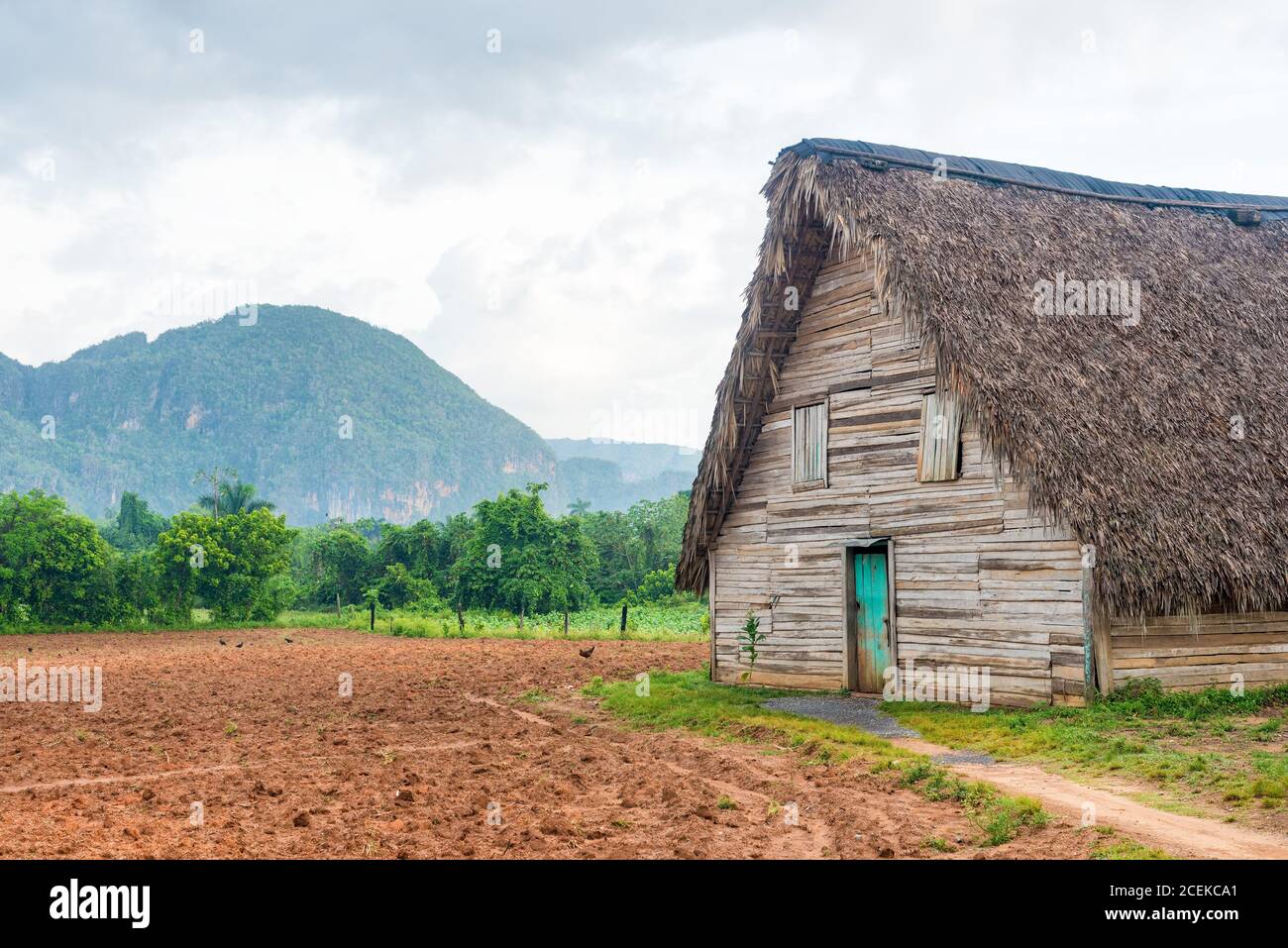 Barn used for curing tobacco at the Vinales valley in Cuba Stock Photo ...