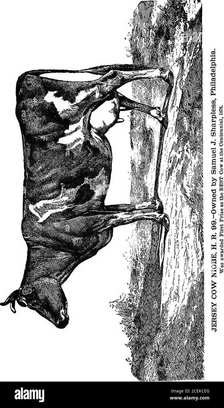 Correctly explained Cut Out Stock Images & Pictures - Alamy