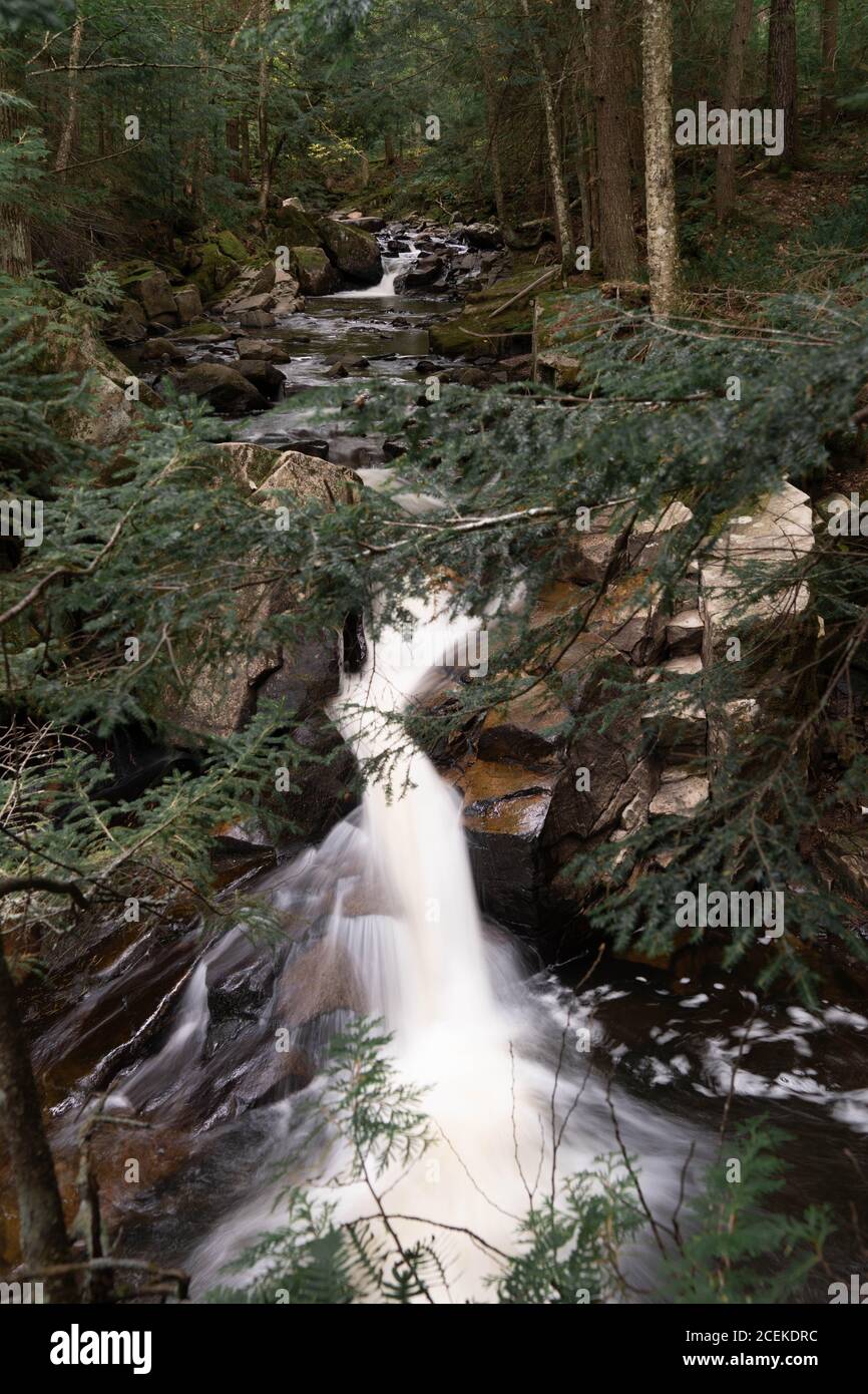Woodland waterfalls hi-res stock photography and images - Alamy