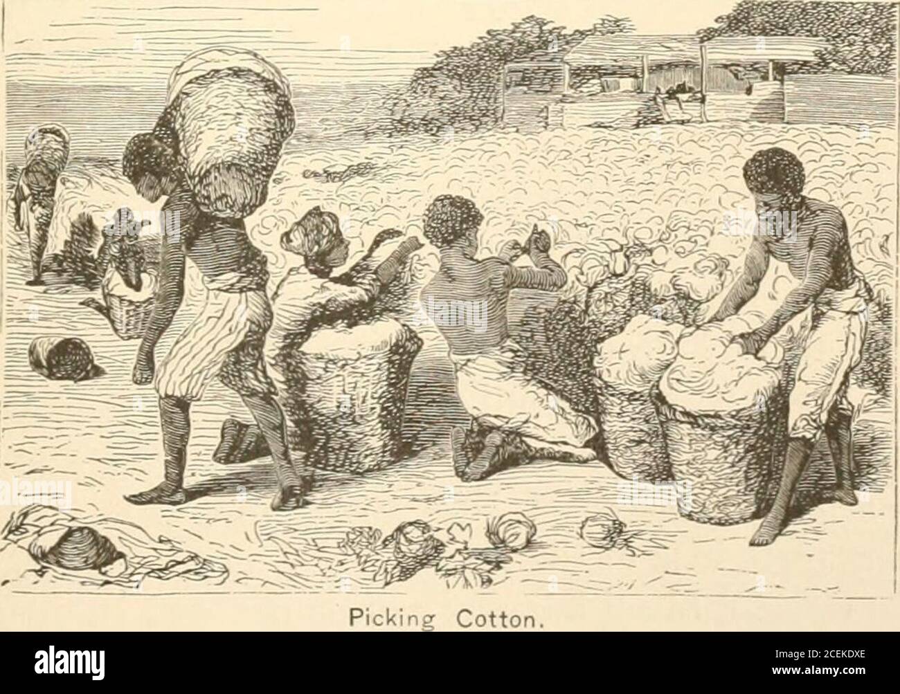 Yankee farm hi-res stock photography and images - Alamy