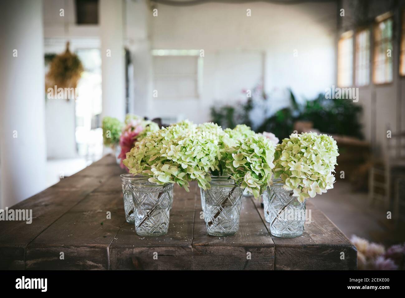 Wooden table with composition of fresh white hydrangea in glasses with ...