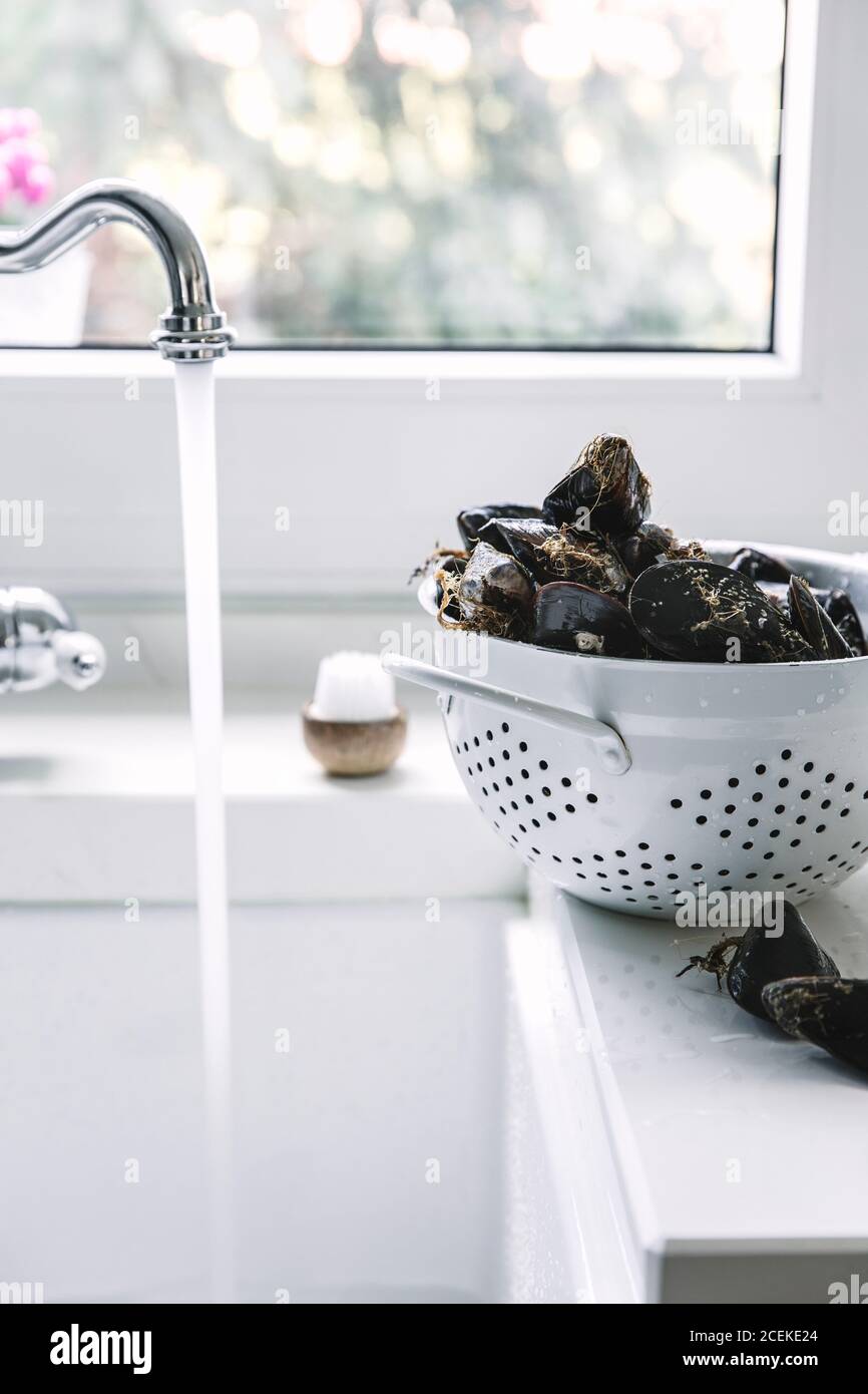 Mussels waiting to be washed in water Stock Photo - Alamy