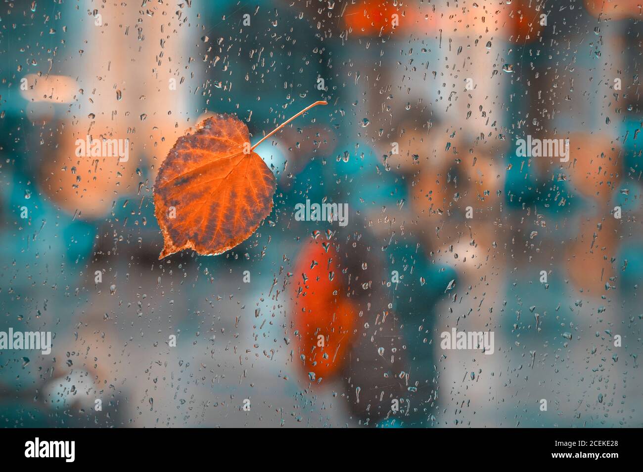 View through glass window with rain drops and one red fallen leaf on ...