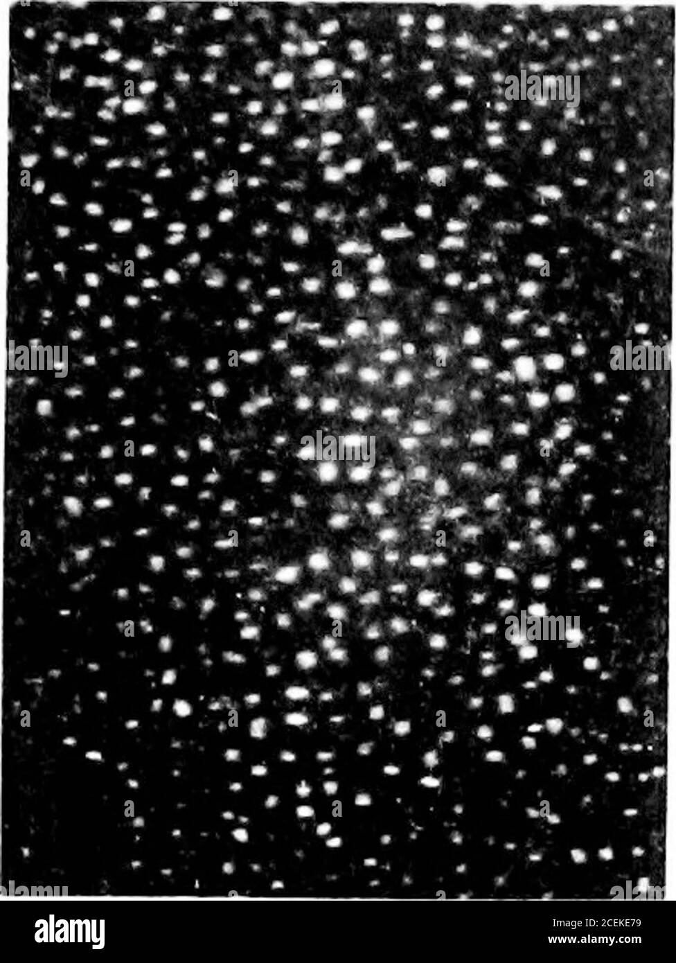 . The pigmentary, growth and endocrine disturbances induced in the ...