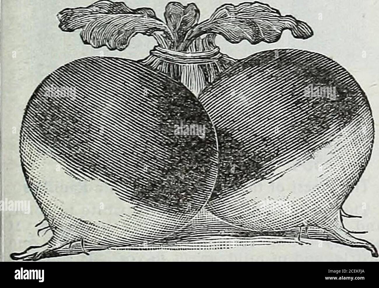 Top 10 handsome men hi-res stock photography and images - Alamy