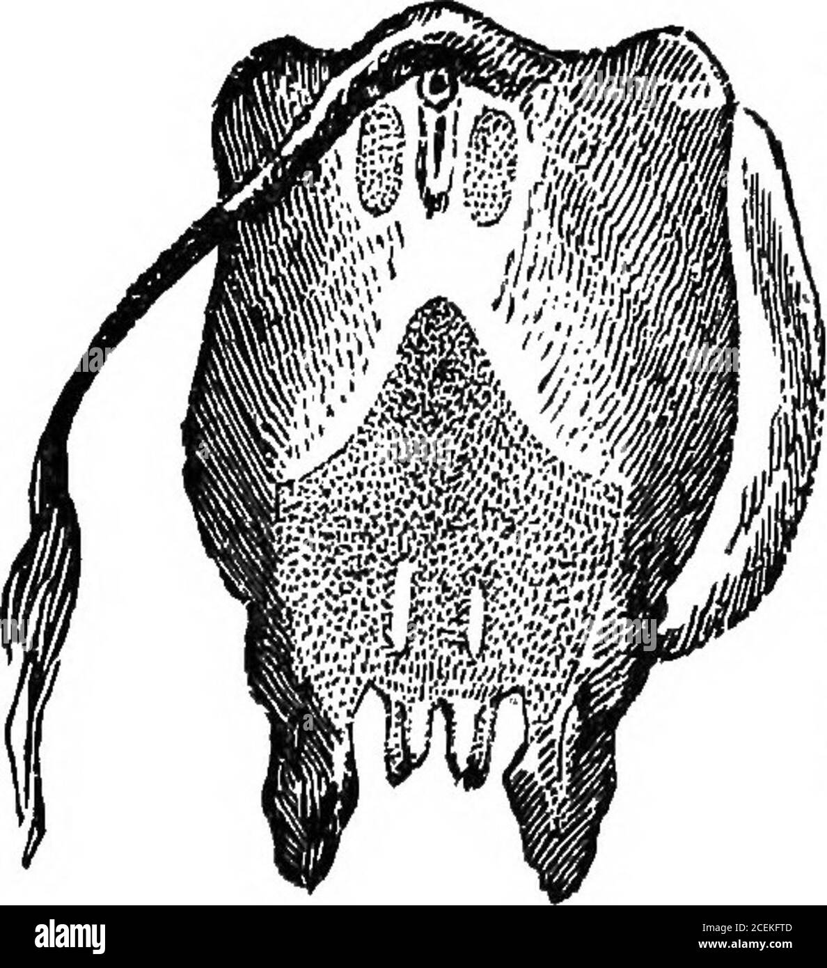 Sometimes explained Cut Out Stock Images & Pictures - Alamy