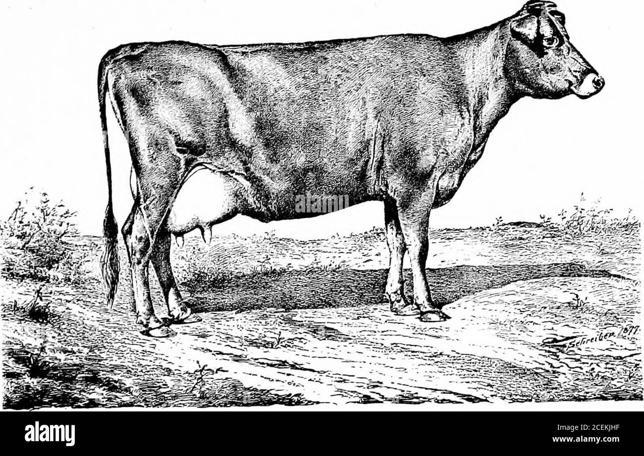 . How to select cows; or, The Guenon system simplified, explained and ...