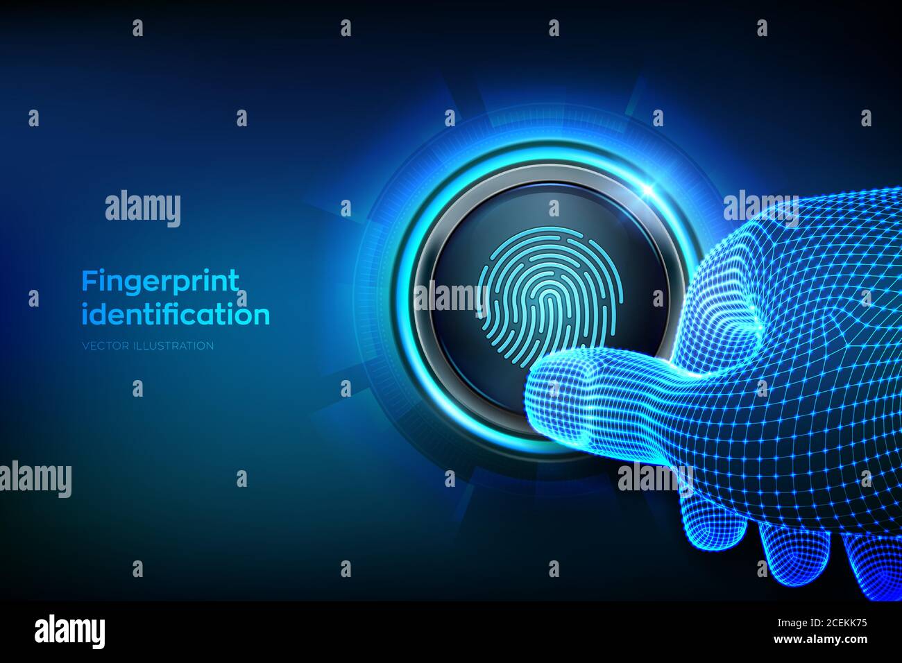Fingerprint scan provides security access with biometrics identification. Closeup finger about ...