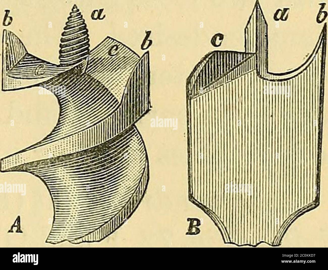 E a shell hole hi-res stock photography and images - Alamy