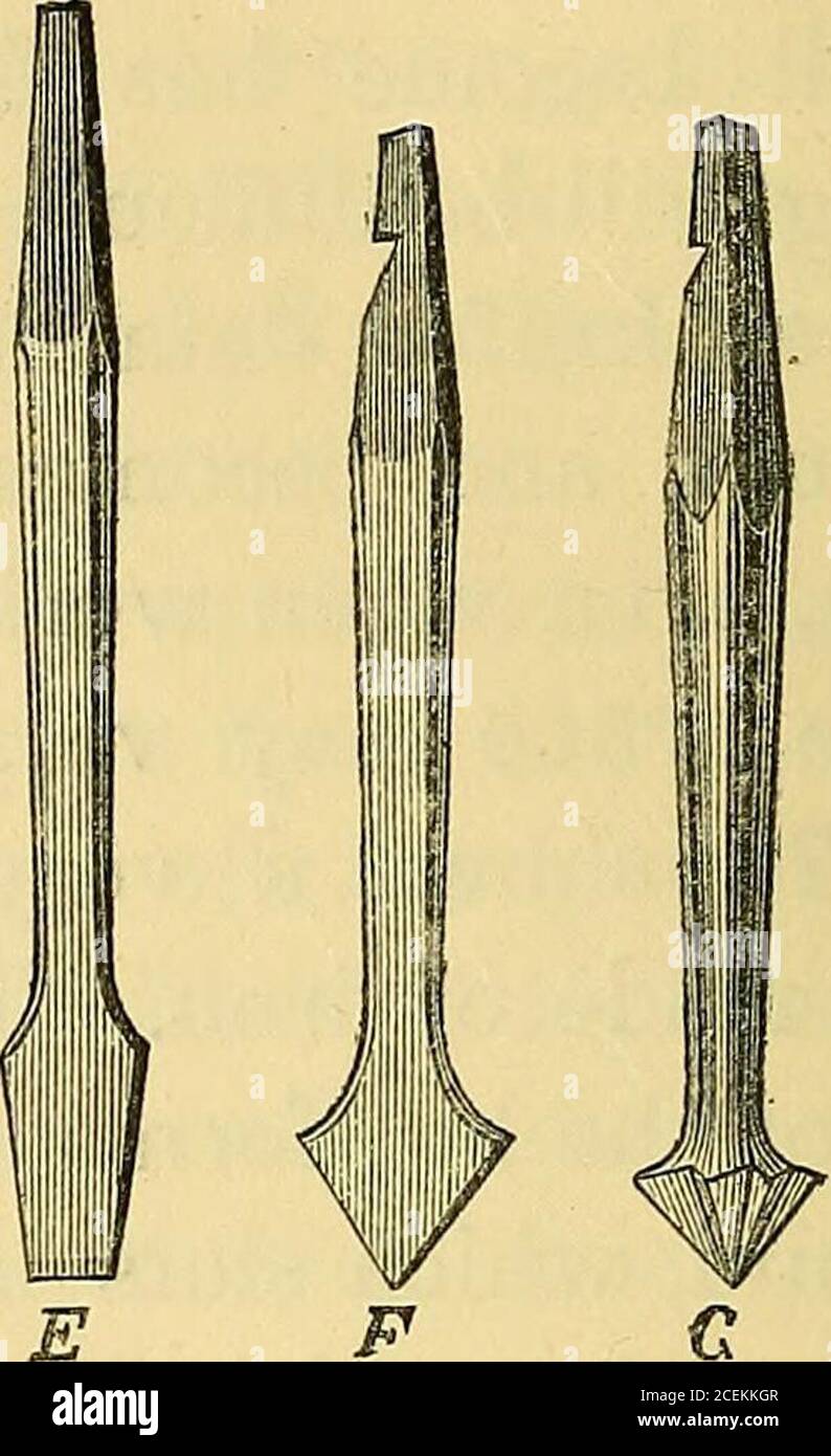 E a shell hole hi-res stock photography and images - Alamy