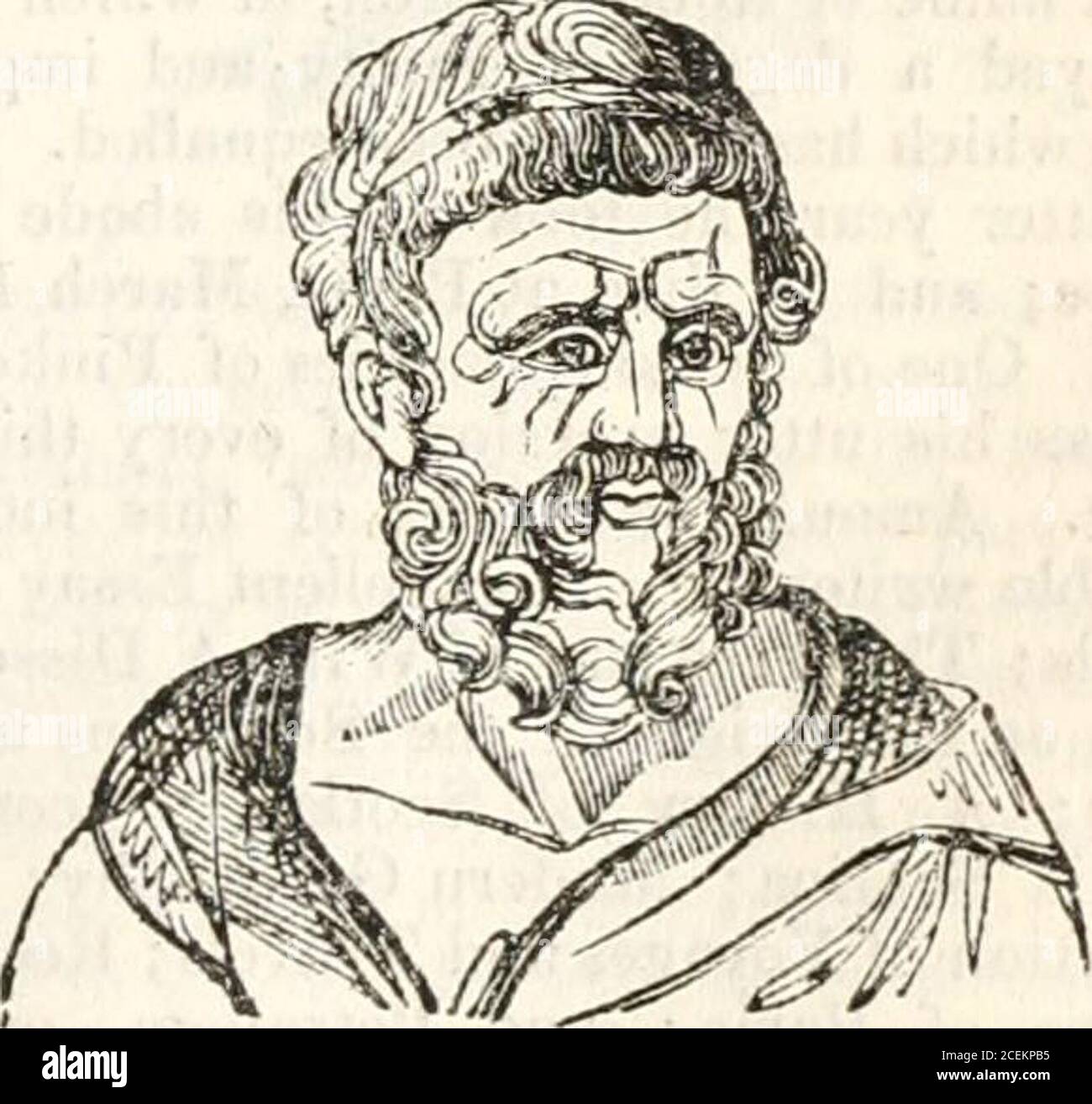 Pigafetta hi-res stock photography and images - Alamy