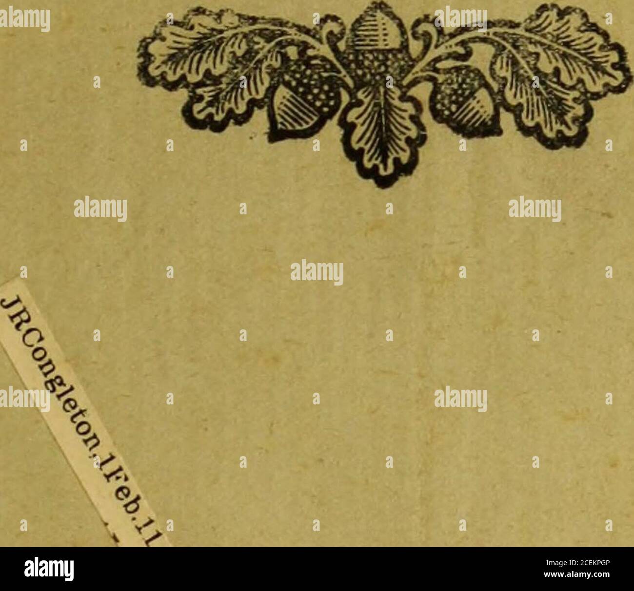 Metropolis ark 1 serial - lasopadude