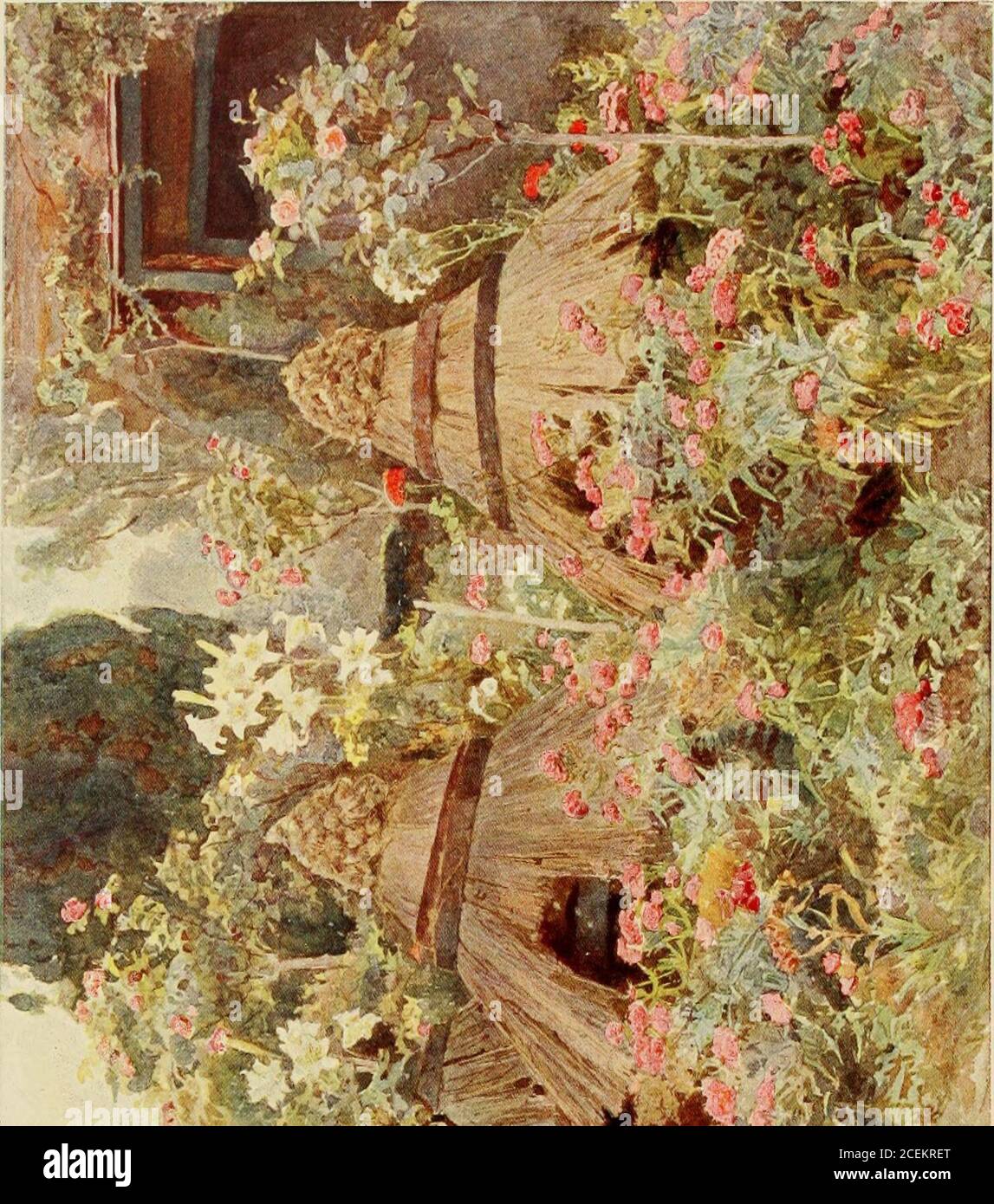 Tudor influences hi-res stock photography and images - Alamy