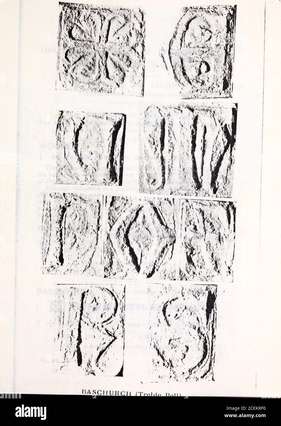 . Transactions of the Shropshire Archaeological and Natural History ...