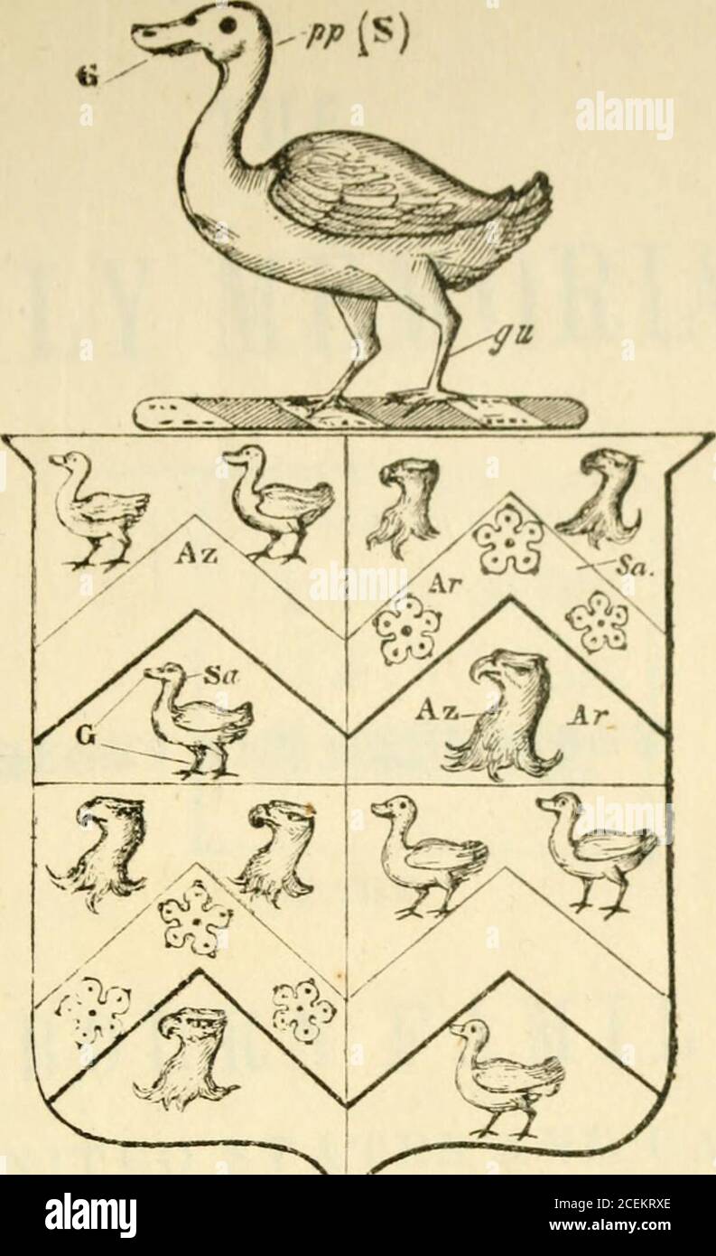 Gibbs josiah hi-res stock photography and images - Alamy