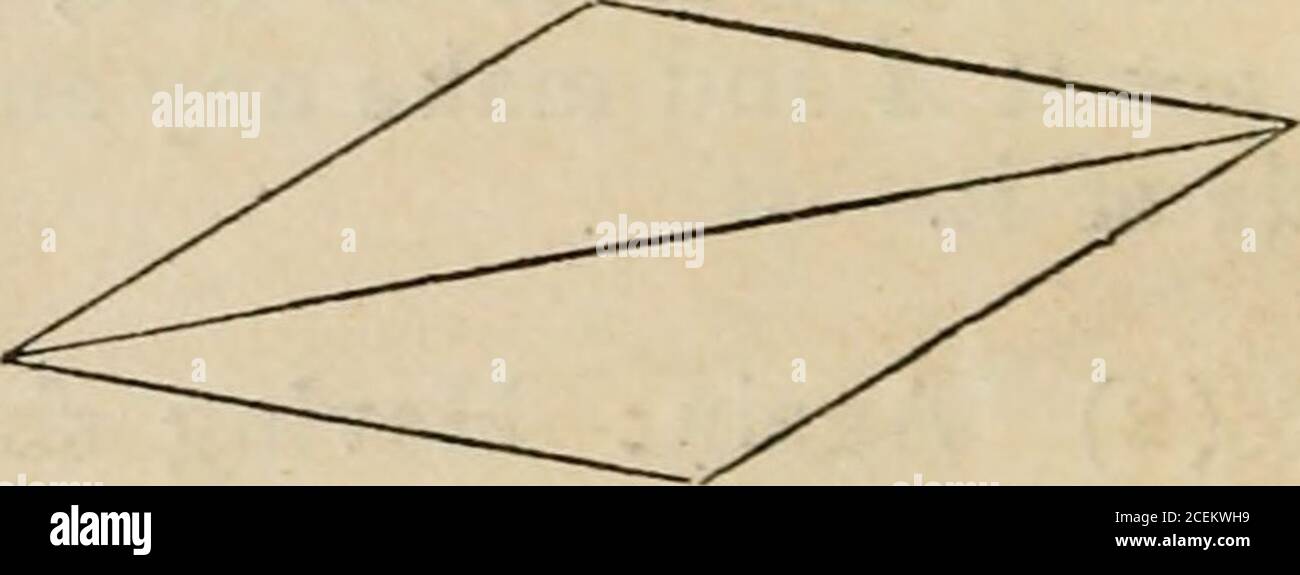 Parallelogram In Nature