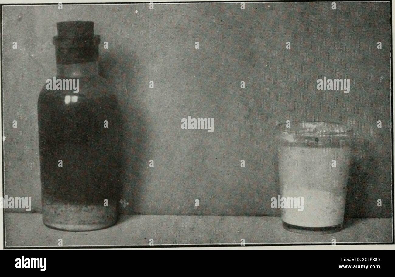 Egg in vinegar experiment hi-res stock photography and images - Alamy