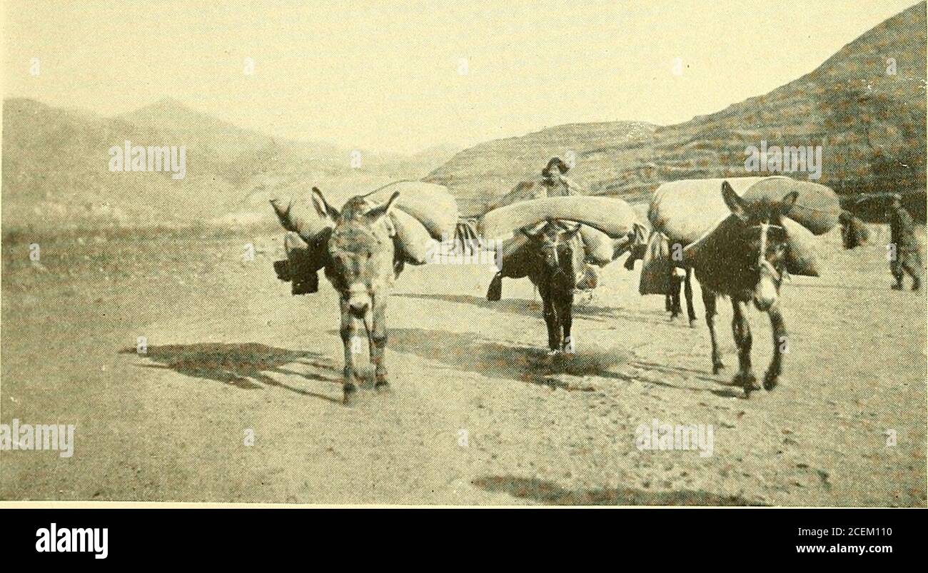 Galicia poland map hi-res stock photography and images - Alamy