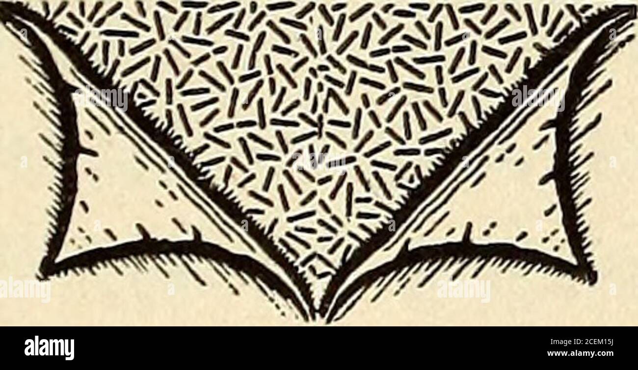 Vaporous substance hi-res stock photography and images - Alamy