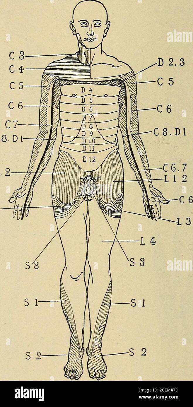 . Diseases of the nervous system : for the general practitioner and ...