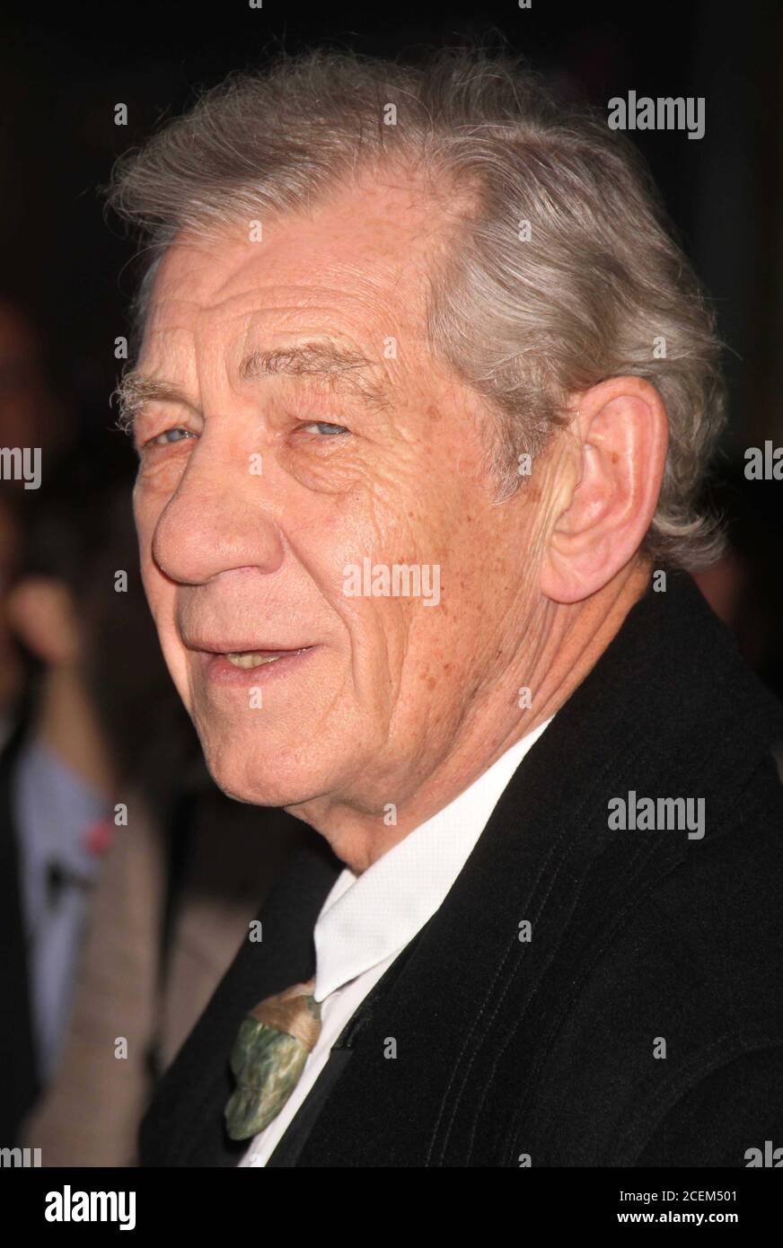 Ian McKellan, 2012, Photo By John Barrett/PHOTOlink Stock Photo - Alamy