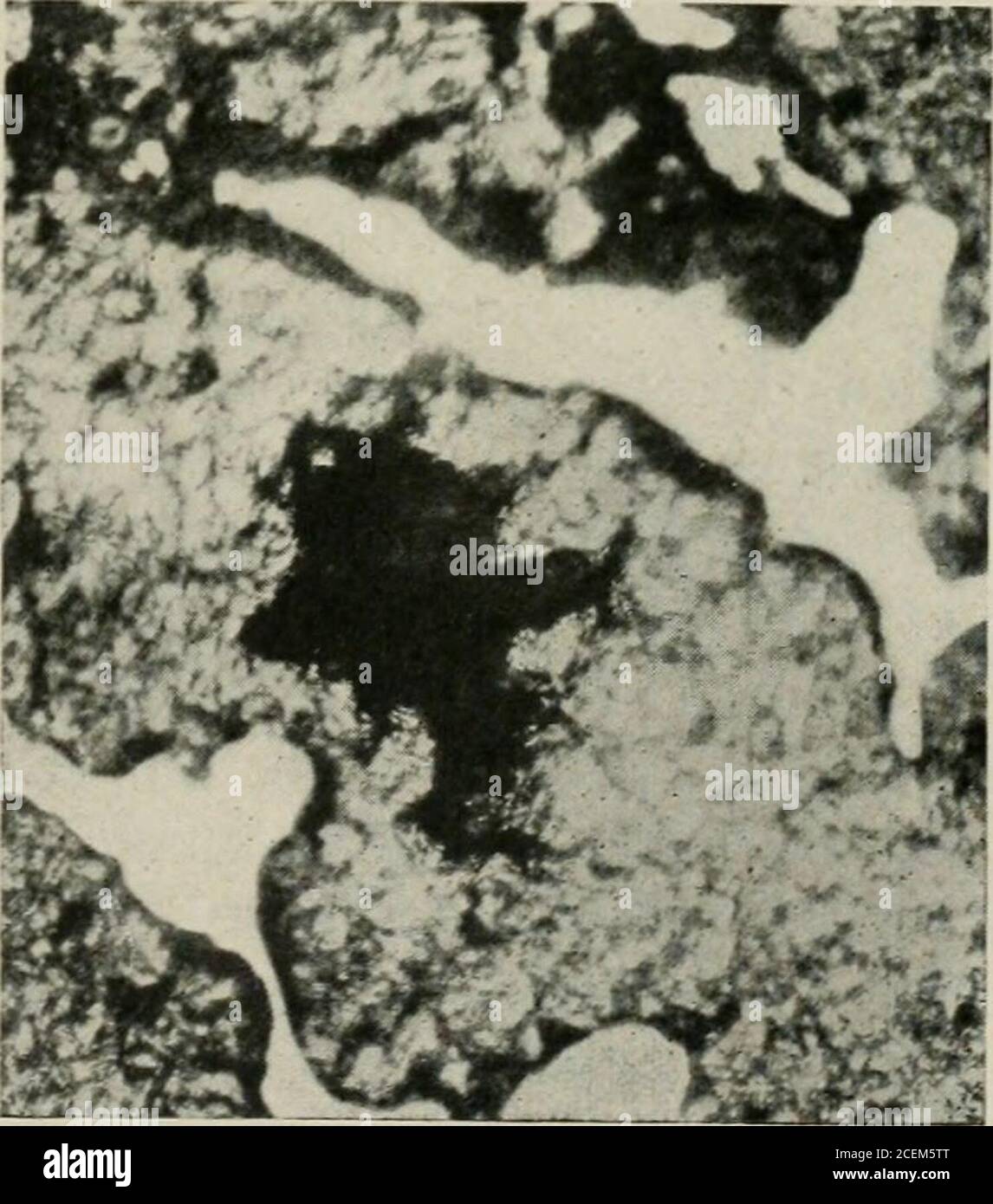 Troostite hi-res stock photography and images - Alamy