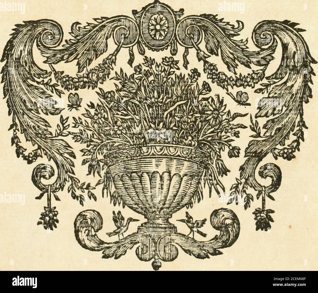 Saeculo hi-res stock photography and images - Alamy