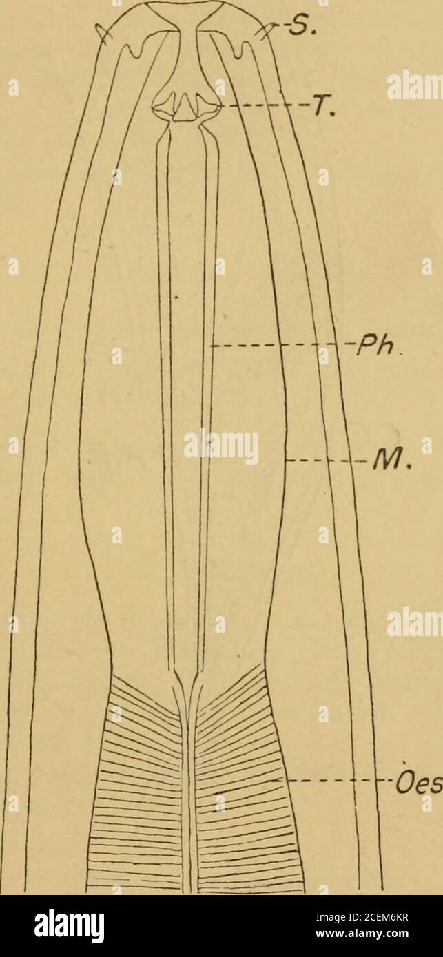Tig triangle hi-res stock photography and images - Alamy
