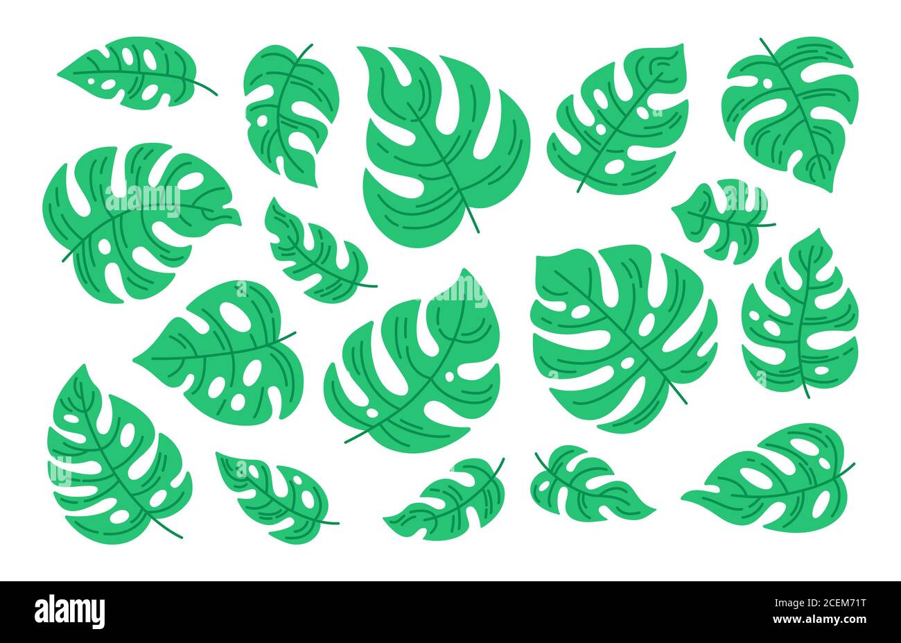 Monstera leaf cartoon set. Tropical green plant collection. Hand drawn ...