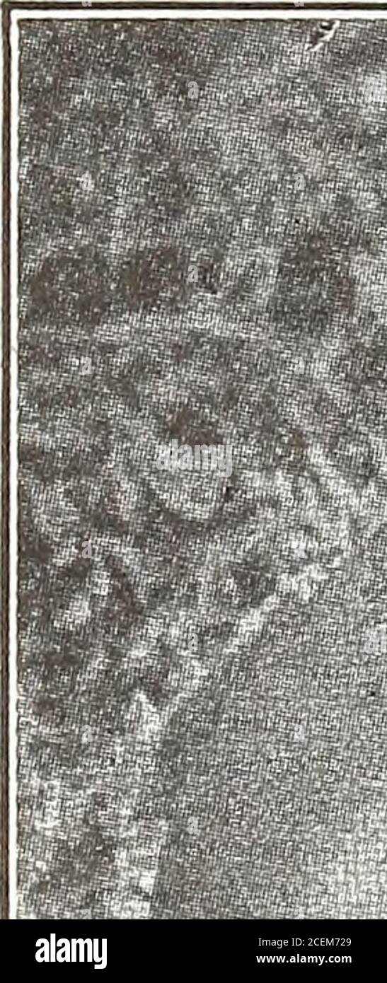 Georgia griffith hi-res stock photography and images - Alamy