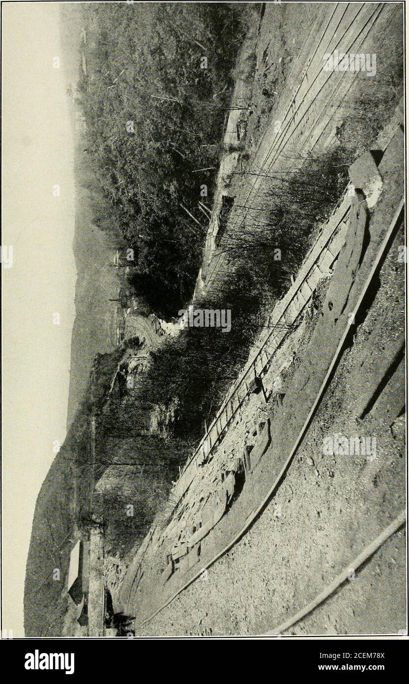 Krebs map hi-res stock photography and images - Alamy