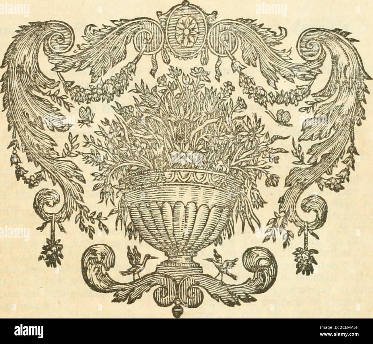 Chronologic hi-res stock photography and images - Alamy